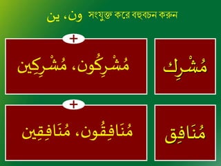 2b plurals bangla | PPTX