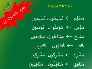 2b plurals bangla | PPTX