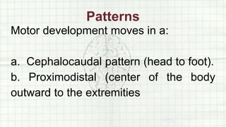 2Brain Development.pptx