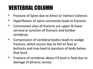 2b regional injuries | PPT