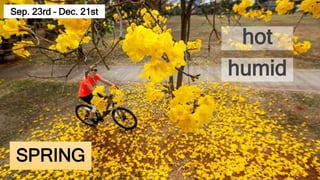 WEATHER AND SEASONS | PPT