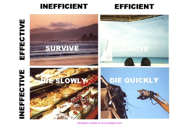 Effectiveness & Efficiency Matrix | PPT Effectiveness & Efficiency Matrix | PPT