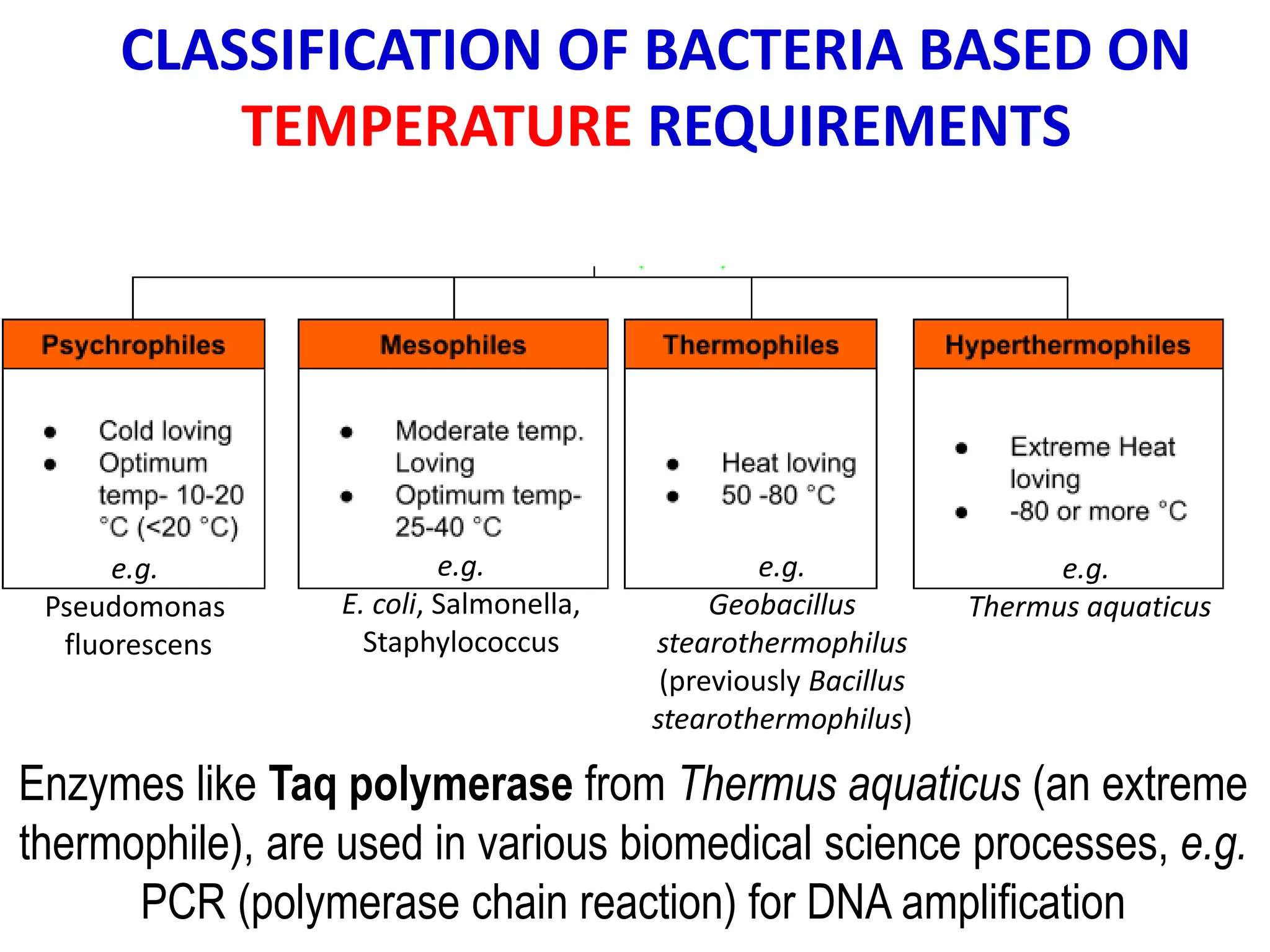 2c. Classifn Medically important Bacteria_Dr. Freddie Bwanga_18Aug2025.pdf
