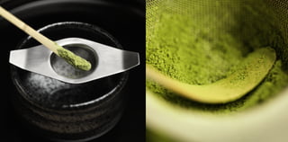 Matcha Story | PPT