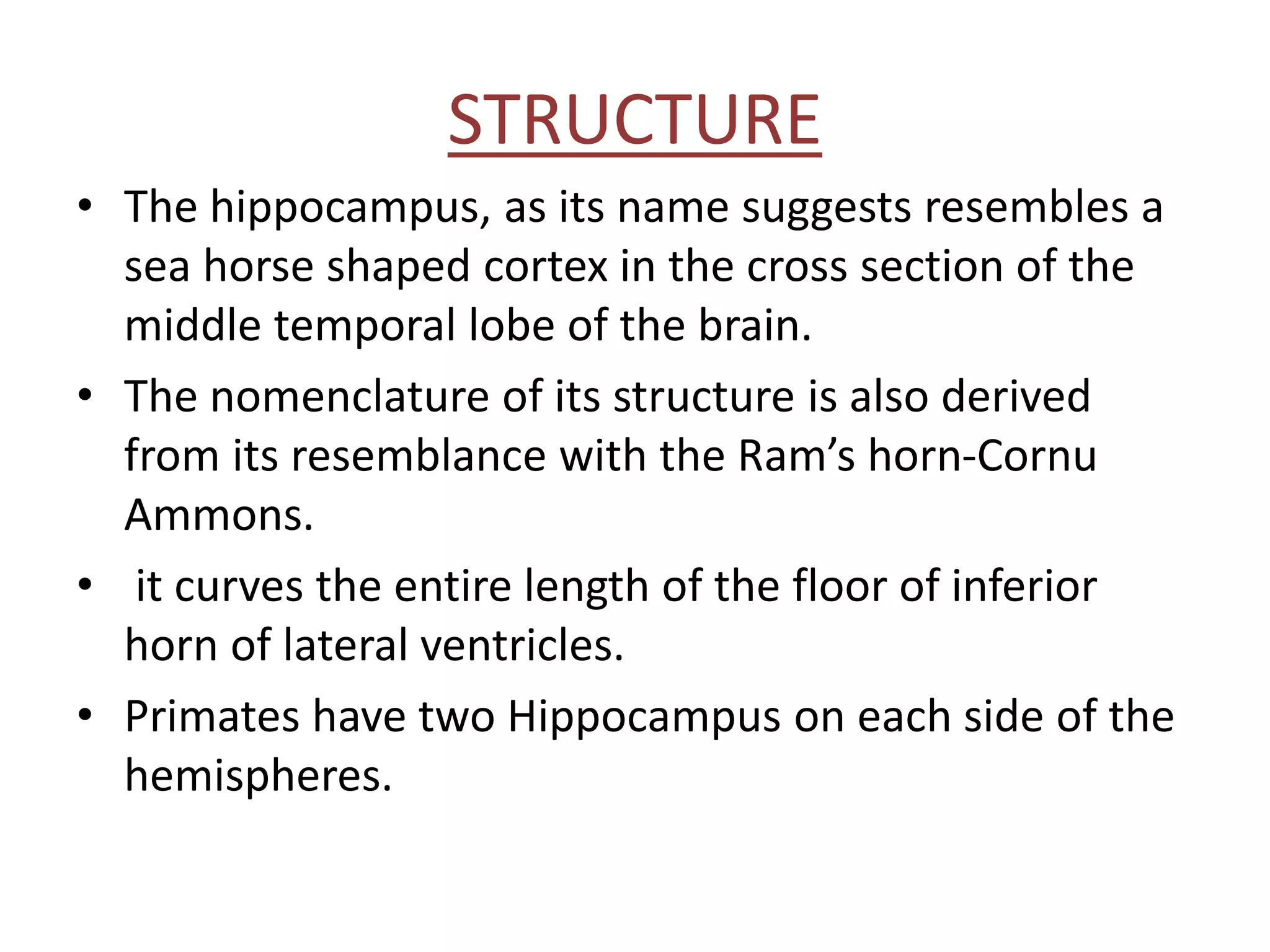 hippocampal formation | PPTX