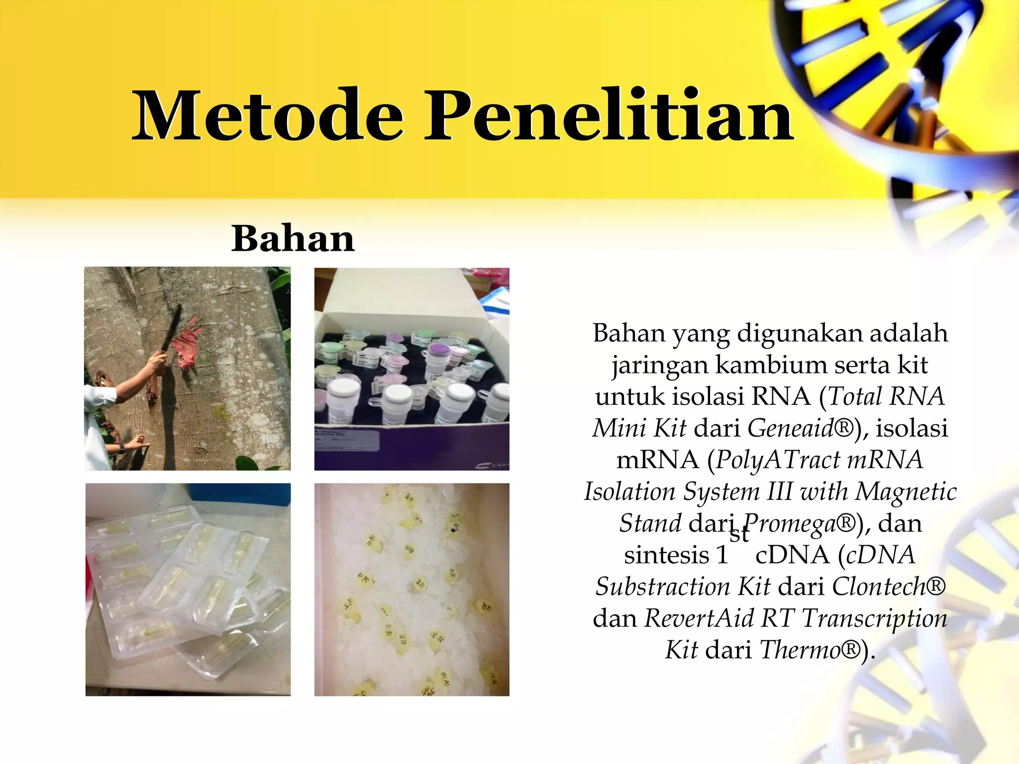 Pengembangan Metode Isolasi RNA - AAD | PDF