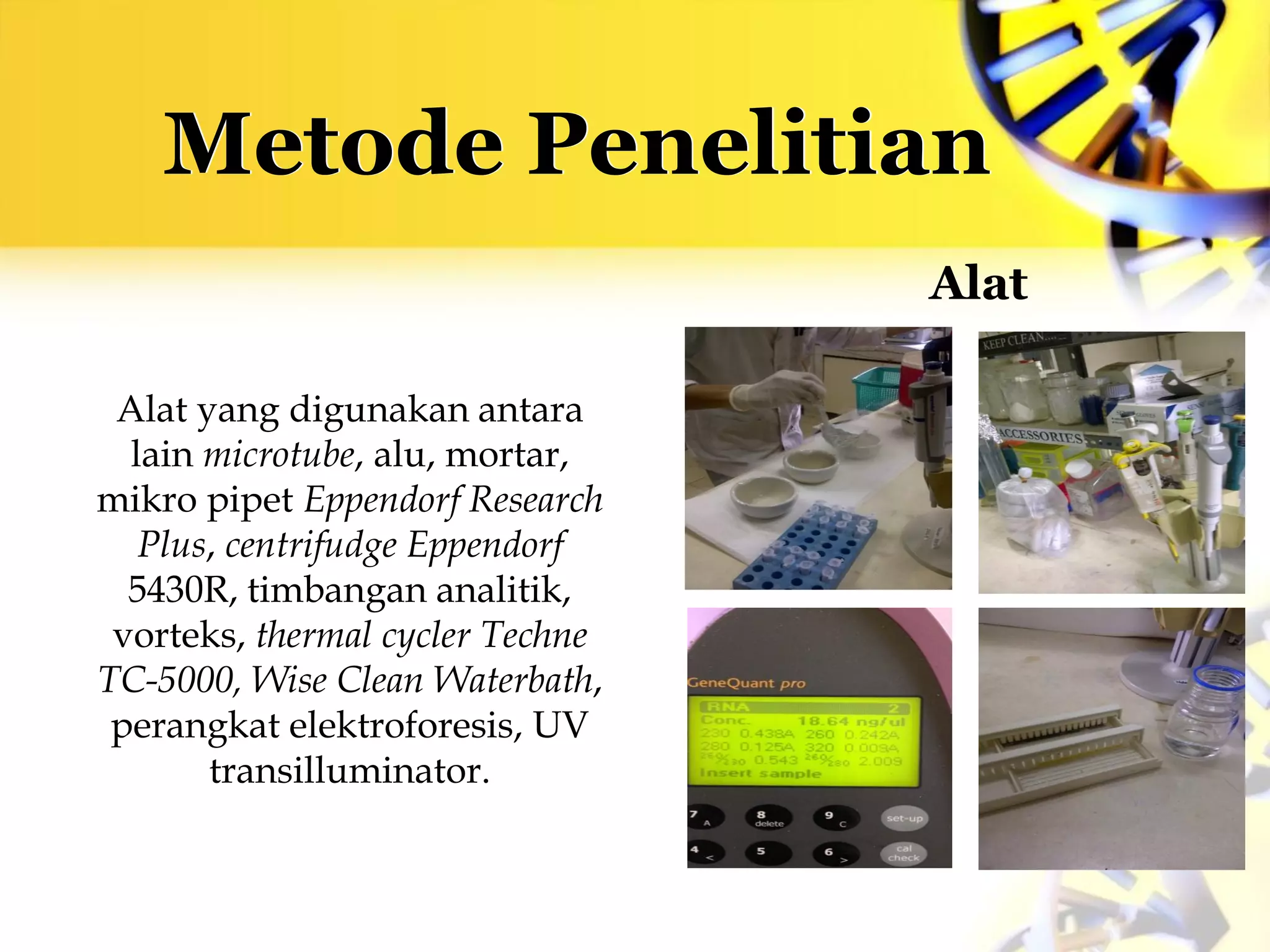Pengembangan Metode Isolasi RNA - AAD | PDF