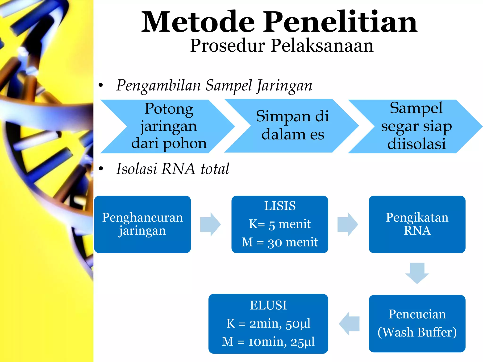 Pengembangan Metode Isolasi RNA - AAD | PDF