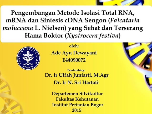 Pengembangan Metode Isolasi RNA - AAD | PPT