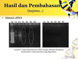 Pengembangan Metode Isolasi RNA - AAD | PDF