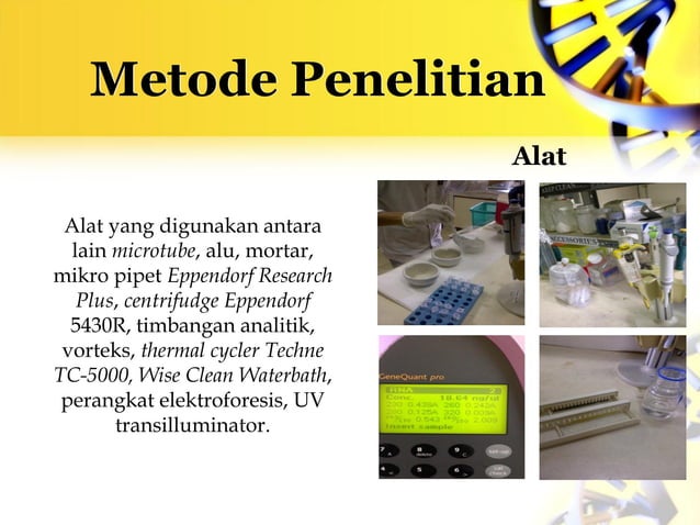 Pengembangan Metode Isolasi RNA - AAD | PPT