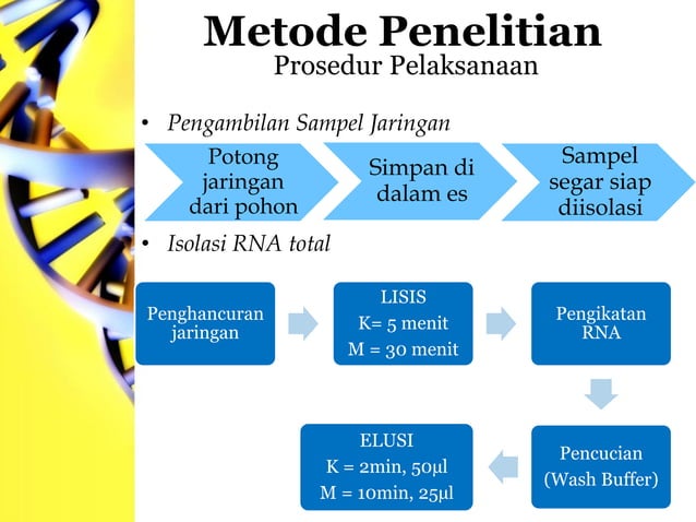 Pengembangan Metode Isolasi RNA - AAD | PPT