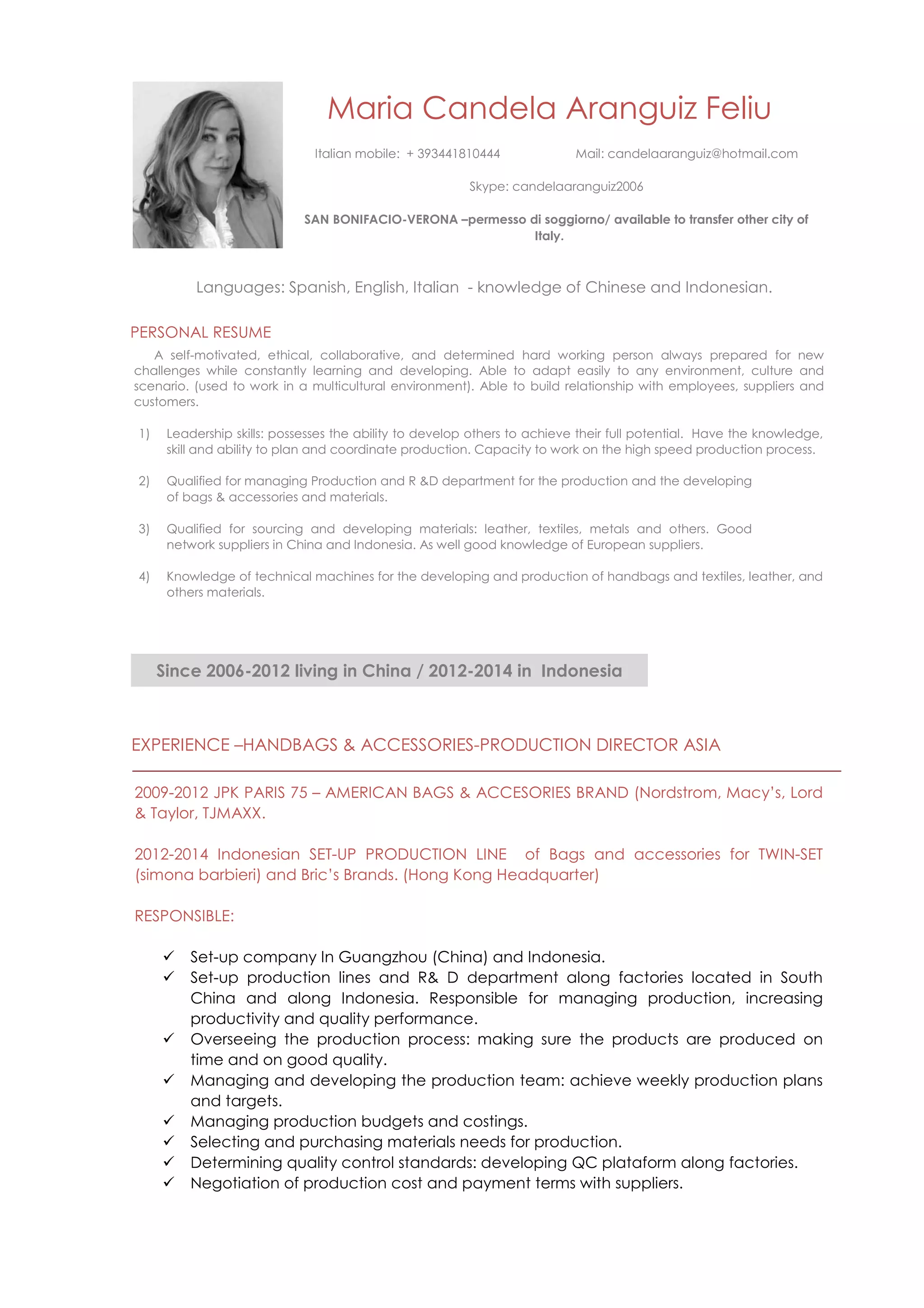 CV ENG. Candela Aranguiz | PDF