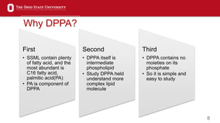 Presentation ppt | PPTX