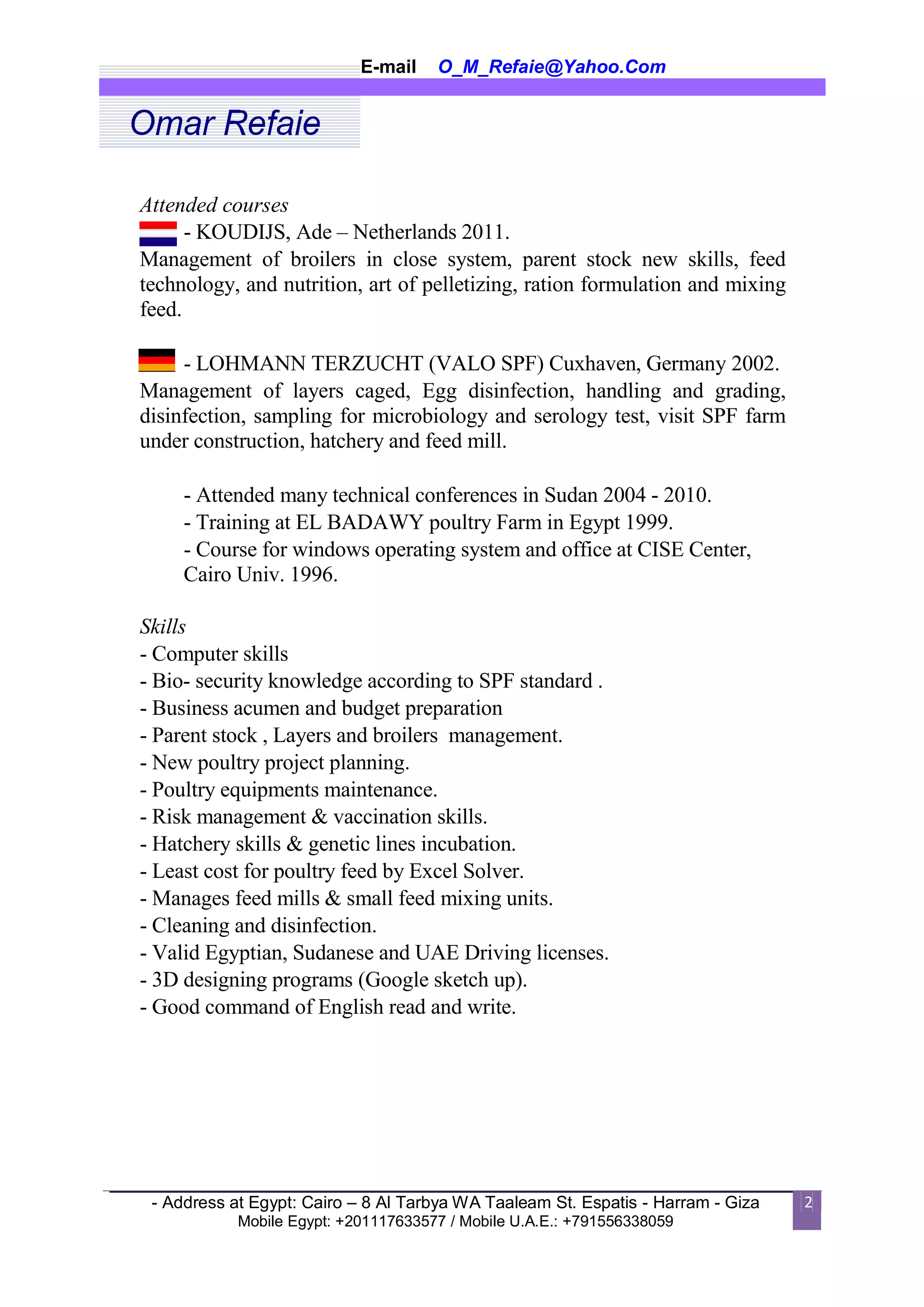 English Arabic CV | PDF
