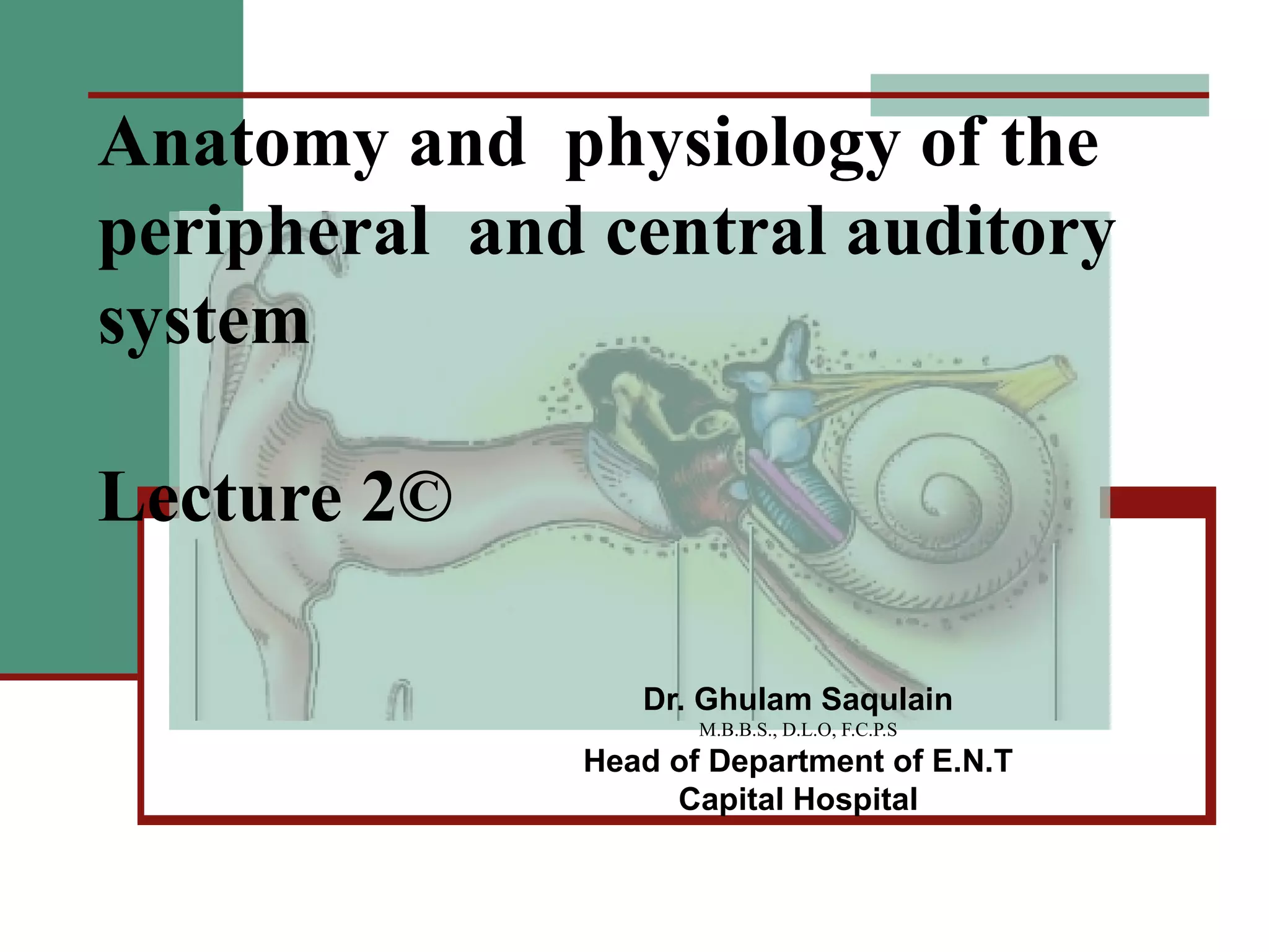 2(c) anatomy and physiology of the peripheral and central auditory ...