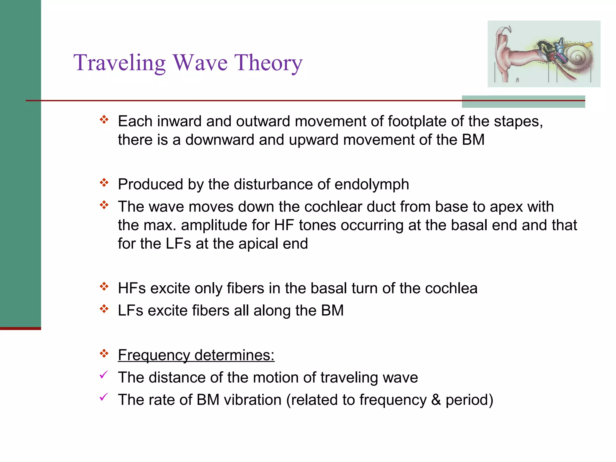 2(c) anatomy and physiology of the peripheral and central auditory ...