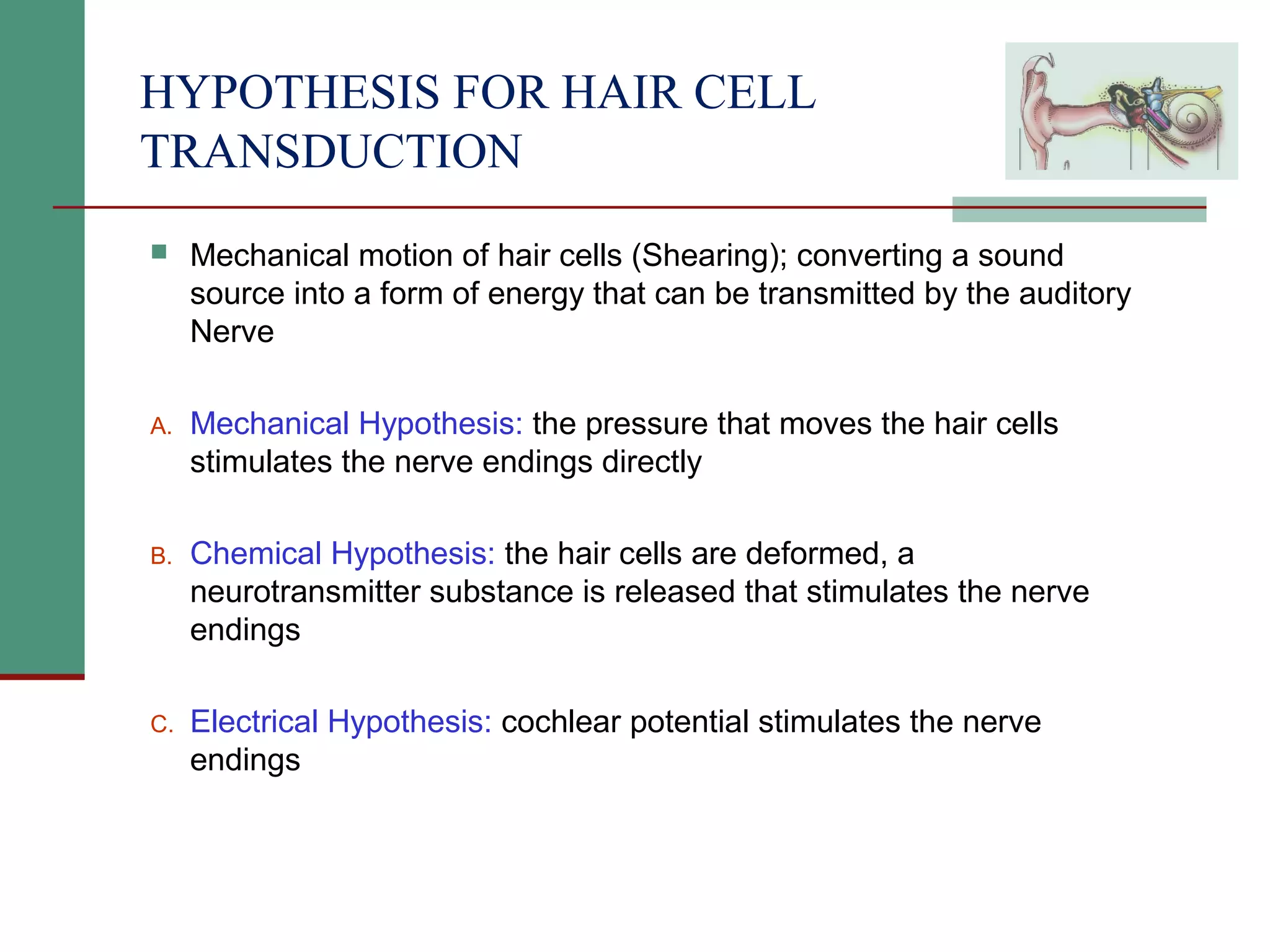 2(c) anatomy and physiology of the peripheral and central auditory ...