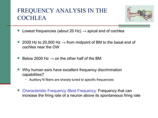 2(c) anatomy and physiology of the peripheral and central auditory ...