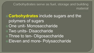 AS Biology- Carbohydrates 1 | PPTX