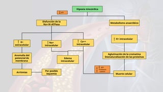 2) Cardiopatía Isquémica- Carlos Fuentes Jiménez.pptx