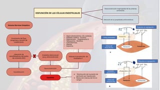 2) Cardiopatía Isquémica- Carlos Fuentes Jiménez.pptx