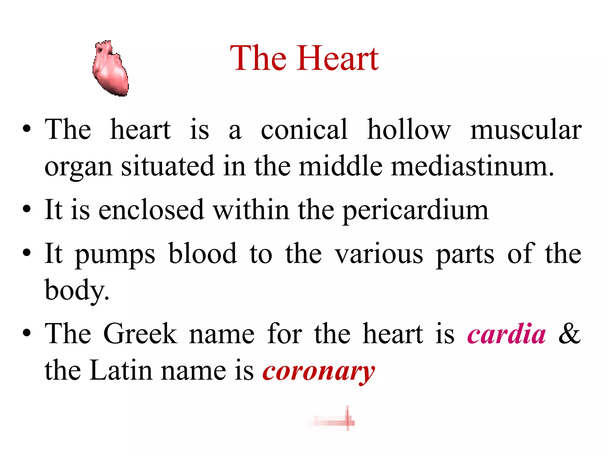 2 Cardio Vascular System.pptx