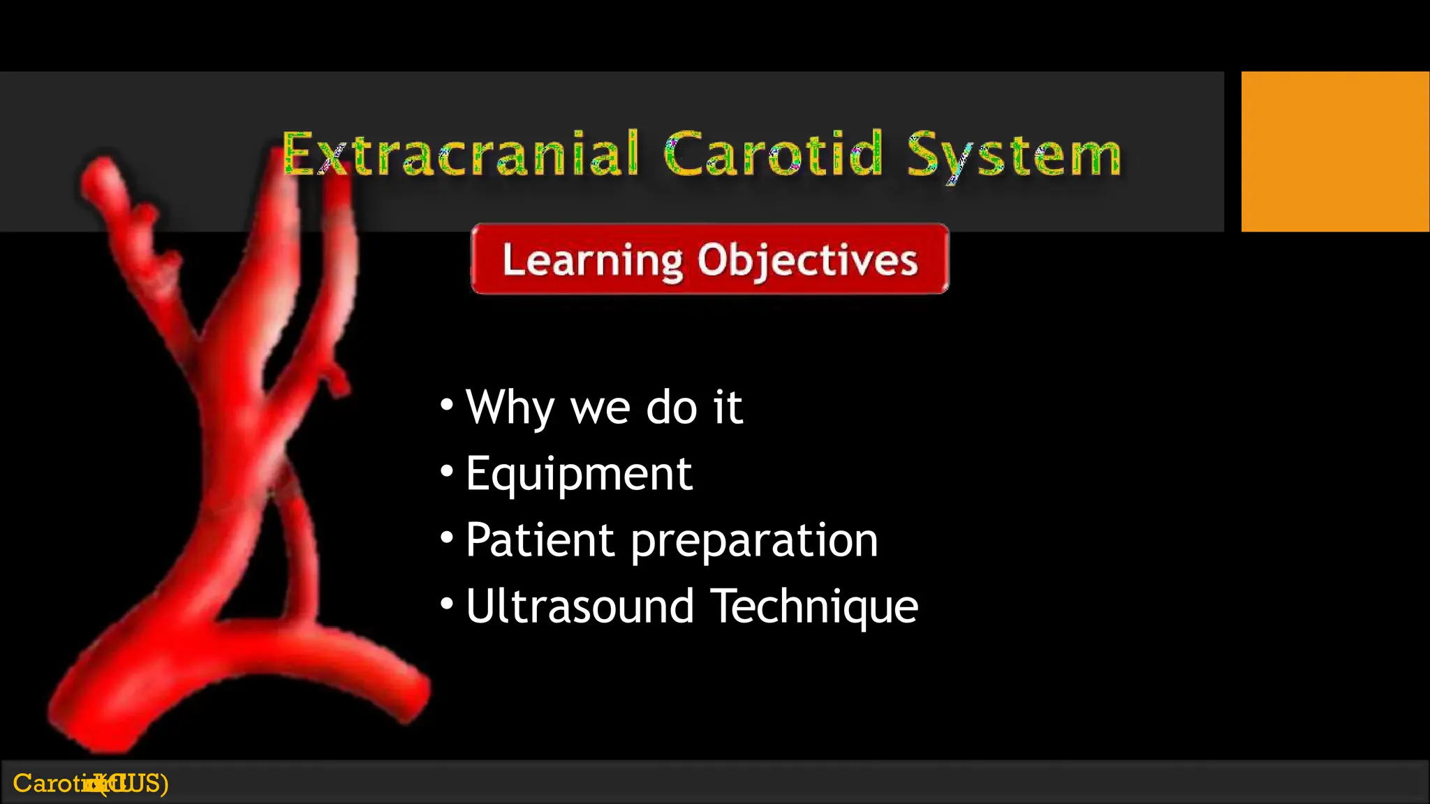 2_Carotid Artery Doppler_Part 1of 2.pptx