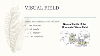 2 CASE HISTORY & PRELIMINARY TESTS w spot.pptx
