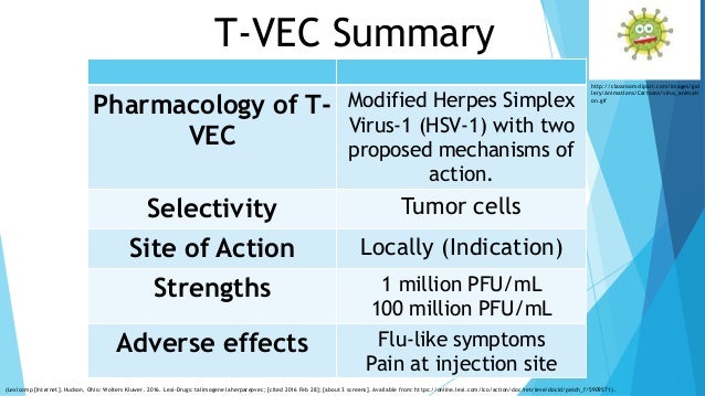 T-Vec Seminar 2