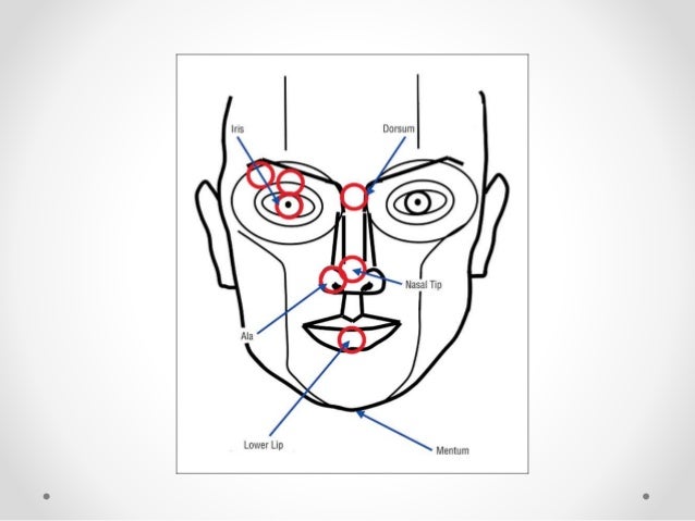 Facial Beauty, Ideal Dimensions in the Face, ABAM 2015