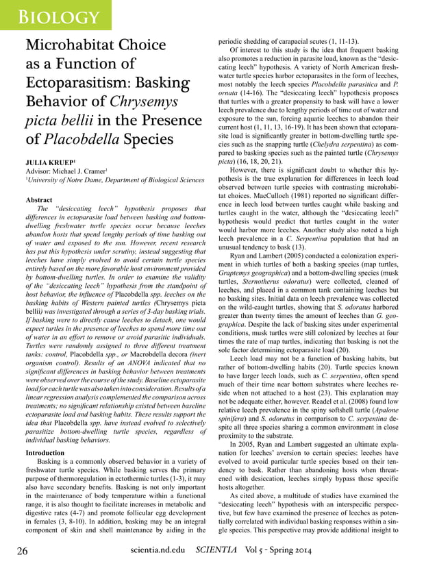 scientia_web_vol5 | PDF