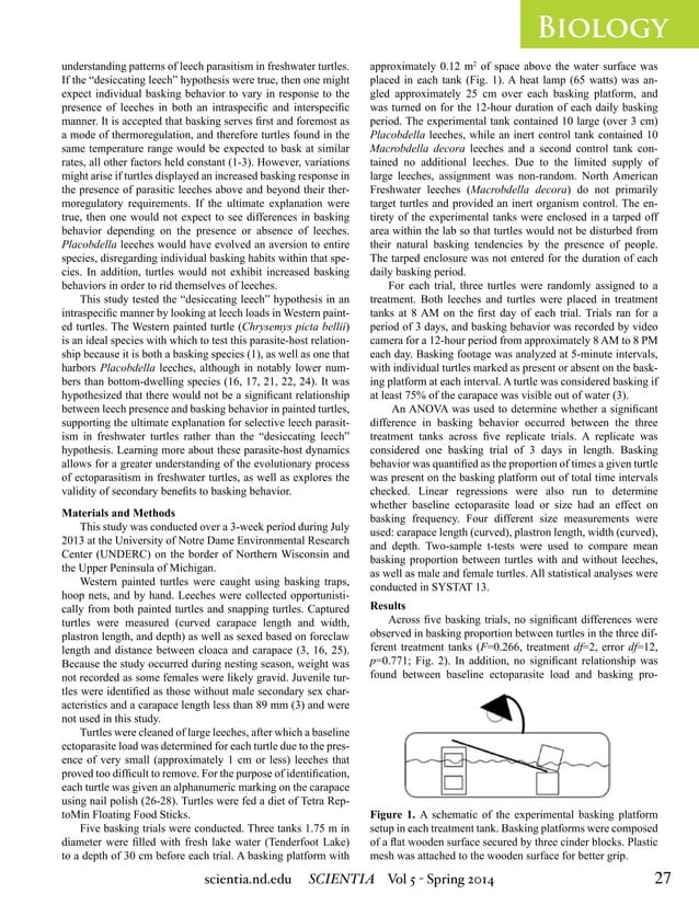 scientia_web_vol5 | PDF