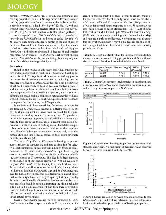 scientia_web_vol5 | PDF
