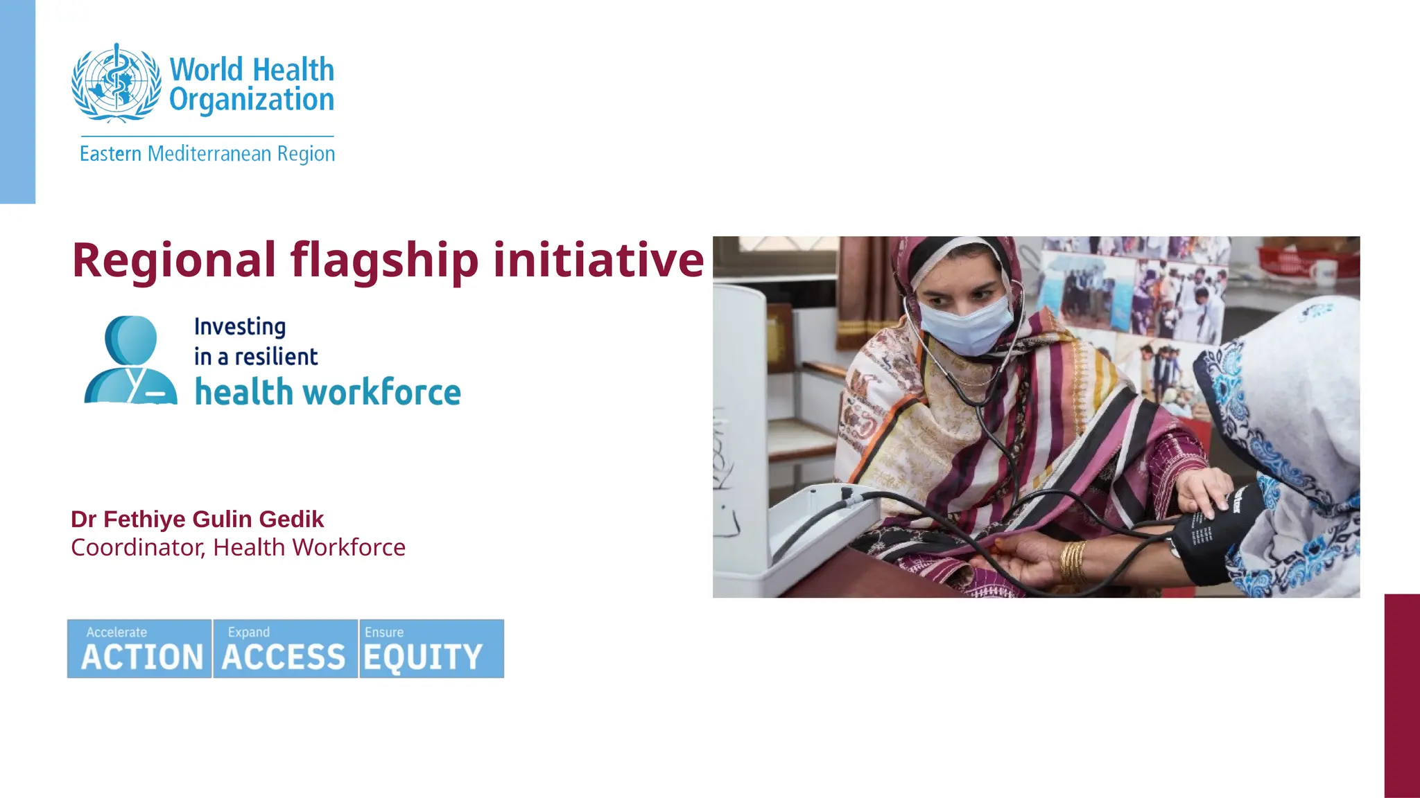 Regional flagship initiative : Investing in a resilient health workforce | PPT