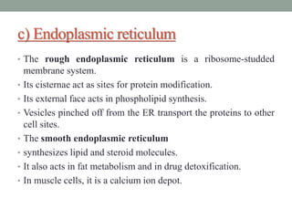 cell and its organelles | PPT