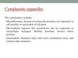 cell and its organelles | PPT