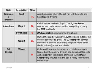 Cell division (Mitosis and Meiosis) | PPTX
