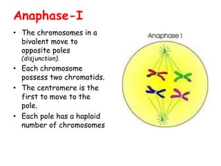 cell division and cell cycle | PPTX