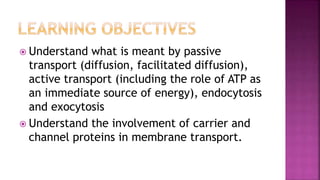AS Biology - Cell transport and diffusion | PPTX