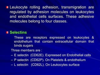 2_cellular_response_cellular_response2_cellular_response.PPT