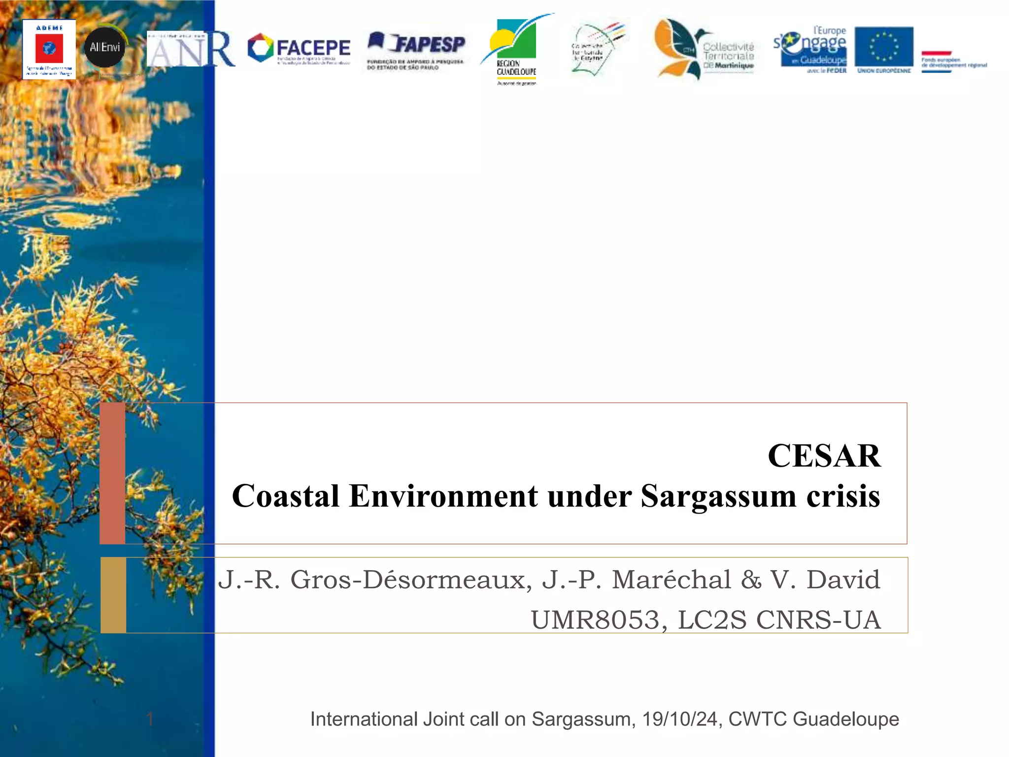 CESAR Coastal Environment under Sargassum crisis | PPTX