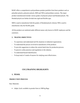 BASF FINAL REPORT | PDF