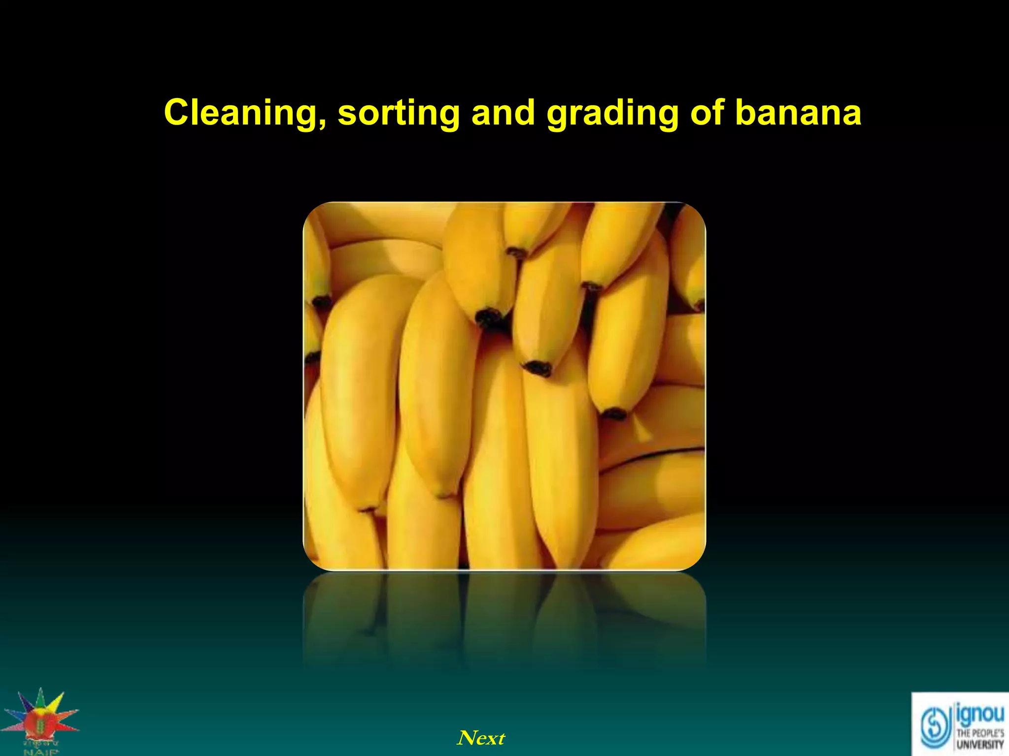 2_CGSBanana.ppt