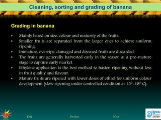 2_CGSBanana.ppt