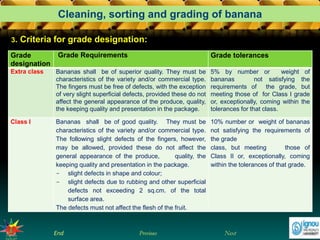 2_CGSBanana.ppt