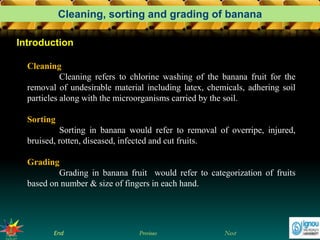 2_CGSBanana.ppt