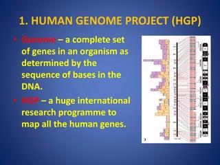 2 chapter 5 genes and chromosome | PPT