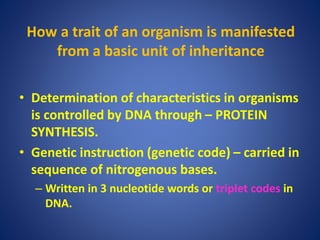 2 chapter 5 genes and chromosome | PPT