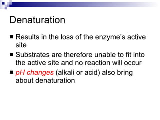 Chapter 5 Enzymes Lesson 2 - Characteristics of enzymes | PPT